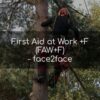 Emergency First Aid at Work +F (EFAW+F)